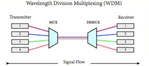 WDM: Everything You Need to Know